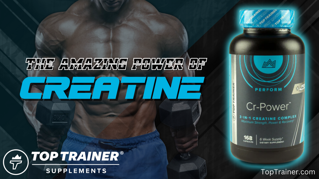 The Amazing Power of Creatine – TopTrainer